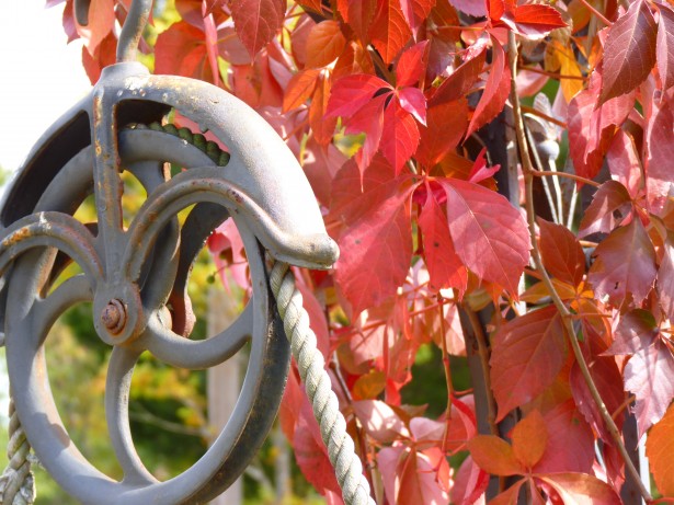 Pulley Examples – Easy Peasy All-in-One Homeschool