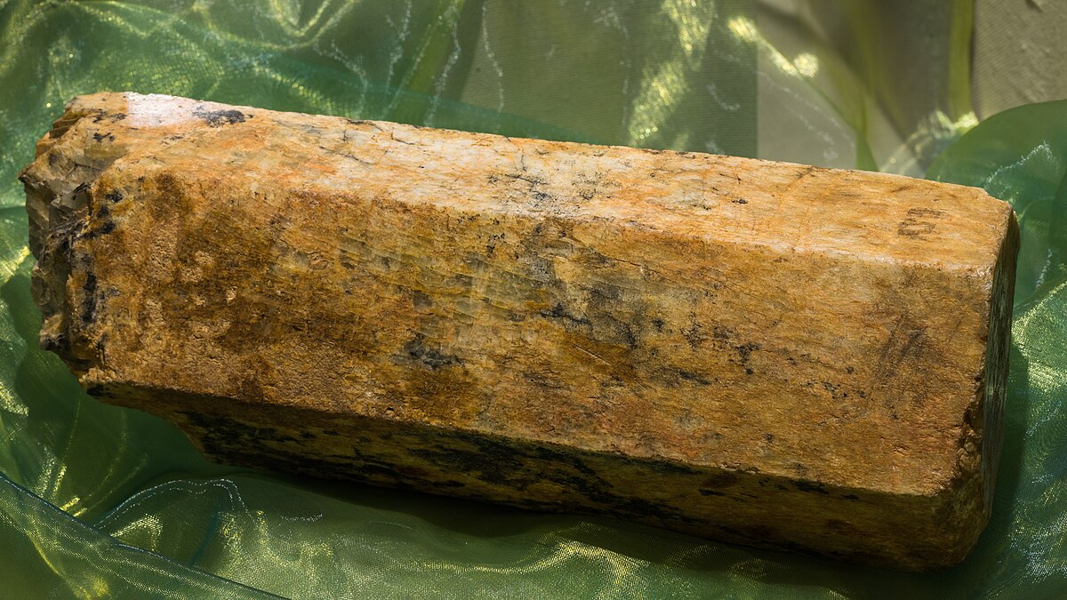 Beryl. Brazil – Easy Peasy All-in-One Homeschool